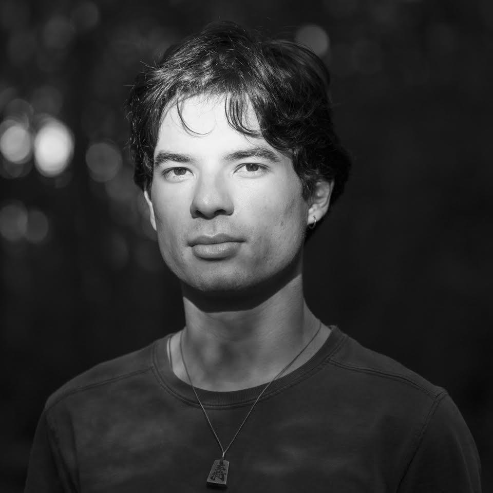 "Like insects crawling under rocks, ideas are everywhere". Henrique ...