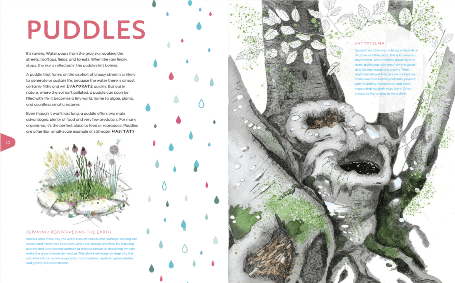 Publisher Preview: Eerdmans Books for Young Readers Preview (Fall 2026 ...