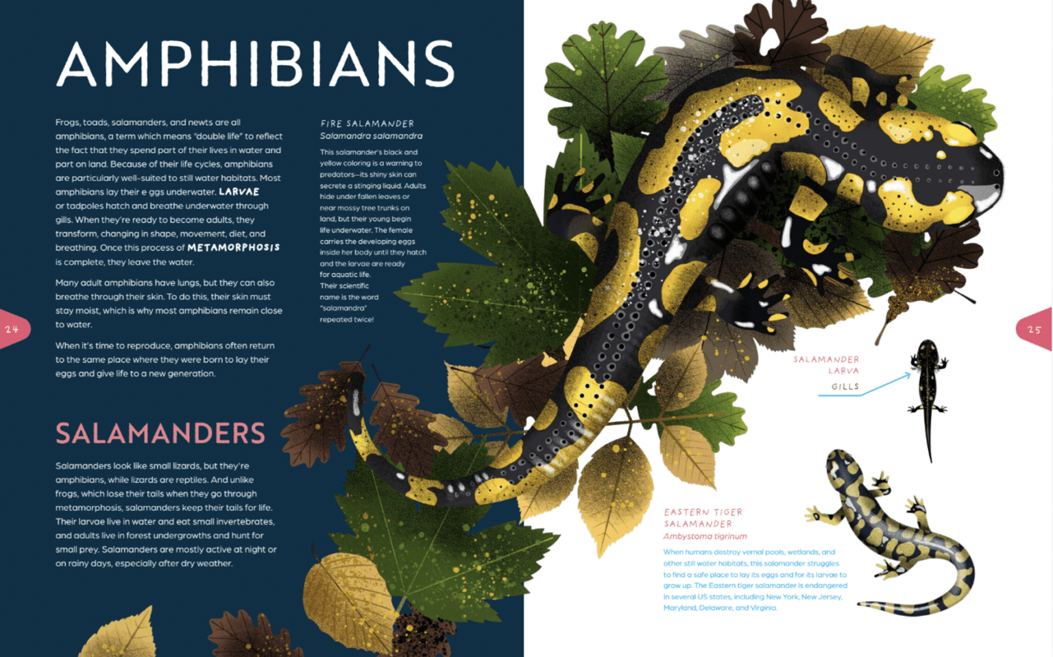 Publisher Preview: Eerdmans Books for Young Readers Preview (Fall 2026 ...